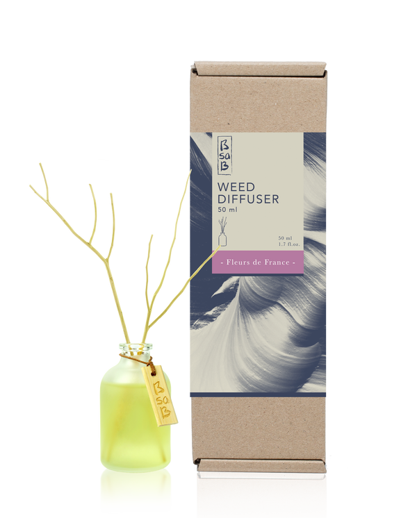 Diffuser 50ml – BsaB Singapore